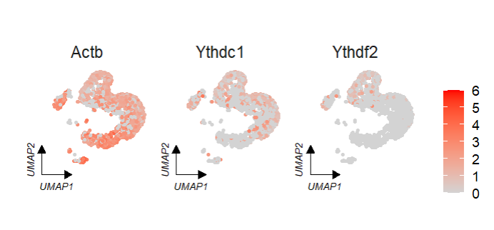scRNAtoolVis Version 0.0.3 documentation - junjunlab/scRNAtoolVis GitHub Wiki