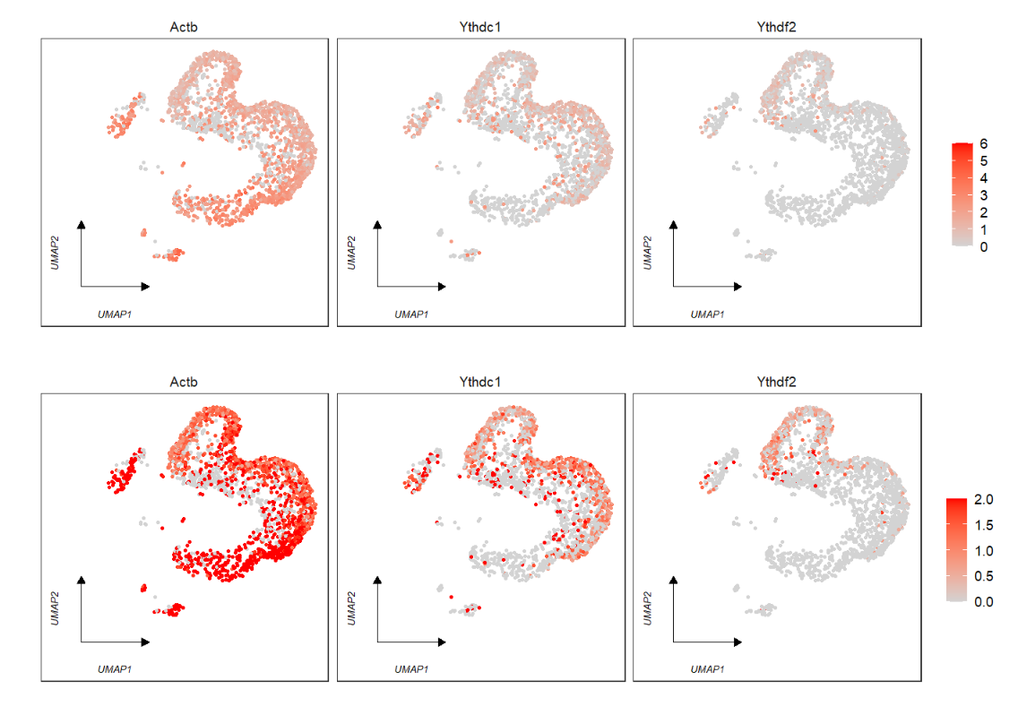 scRNAtoolVis Version 0.0.3 documentation - junjunlab/scRNAtoolVis GitHub Wiki